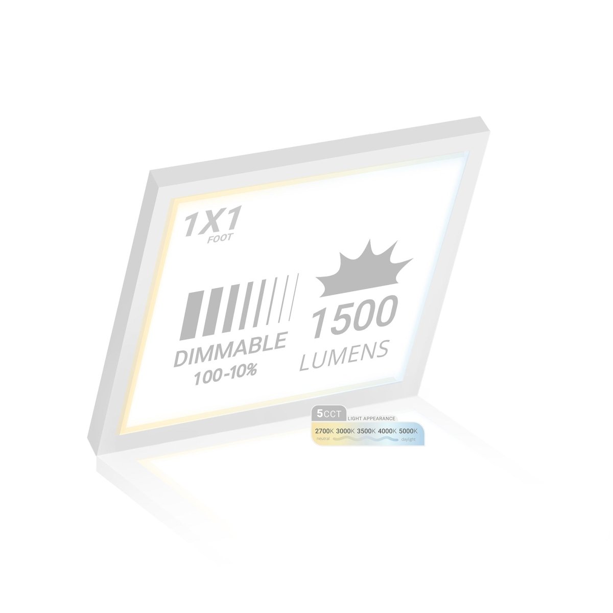 1x1 FT 12" Square LED Surface Mount Panel | White | NuWatt