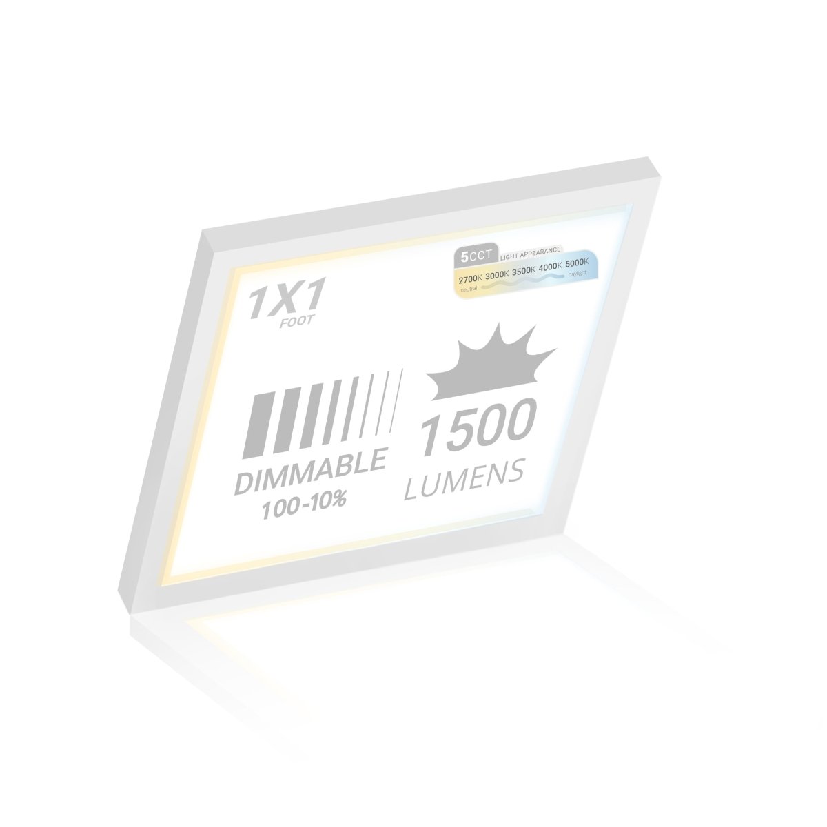 1x1 FT 12" Square LED Surface Mount Panel | White | NuWatt