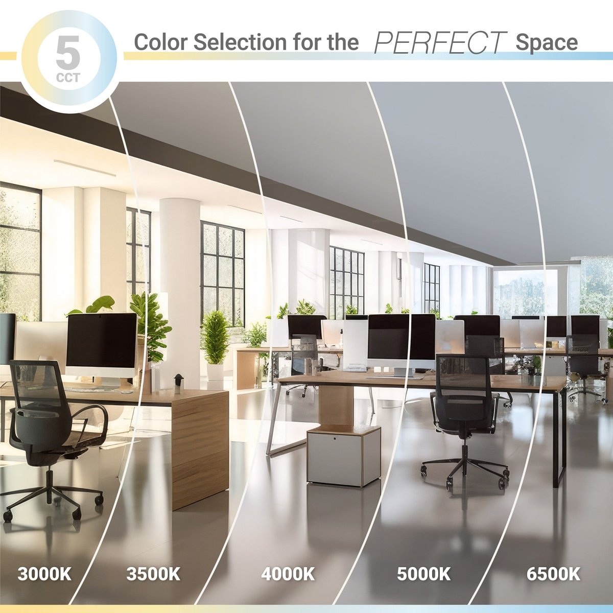 2x2 FT Back Lit LED Panel Black Trim | 4 Pack | NuWatt